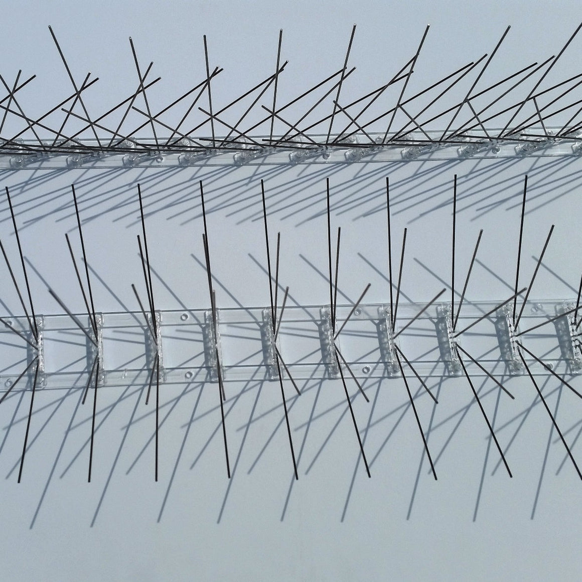 Bird Control Products - Pest Control from Flock Free – Flock Free Bird ...